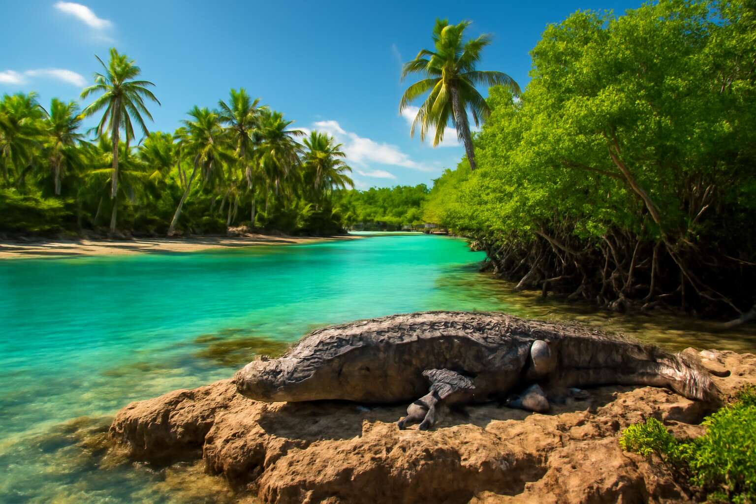 Crocodile Mine Brits Vacancies: Exciting Opportunities Await at the ...